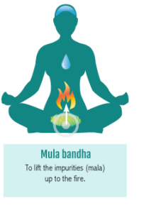 Moola Bandha - Fit Fab Fodmap
